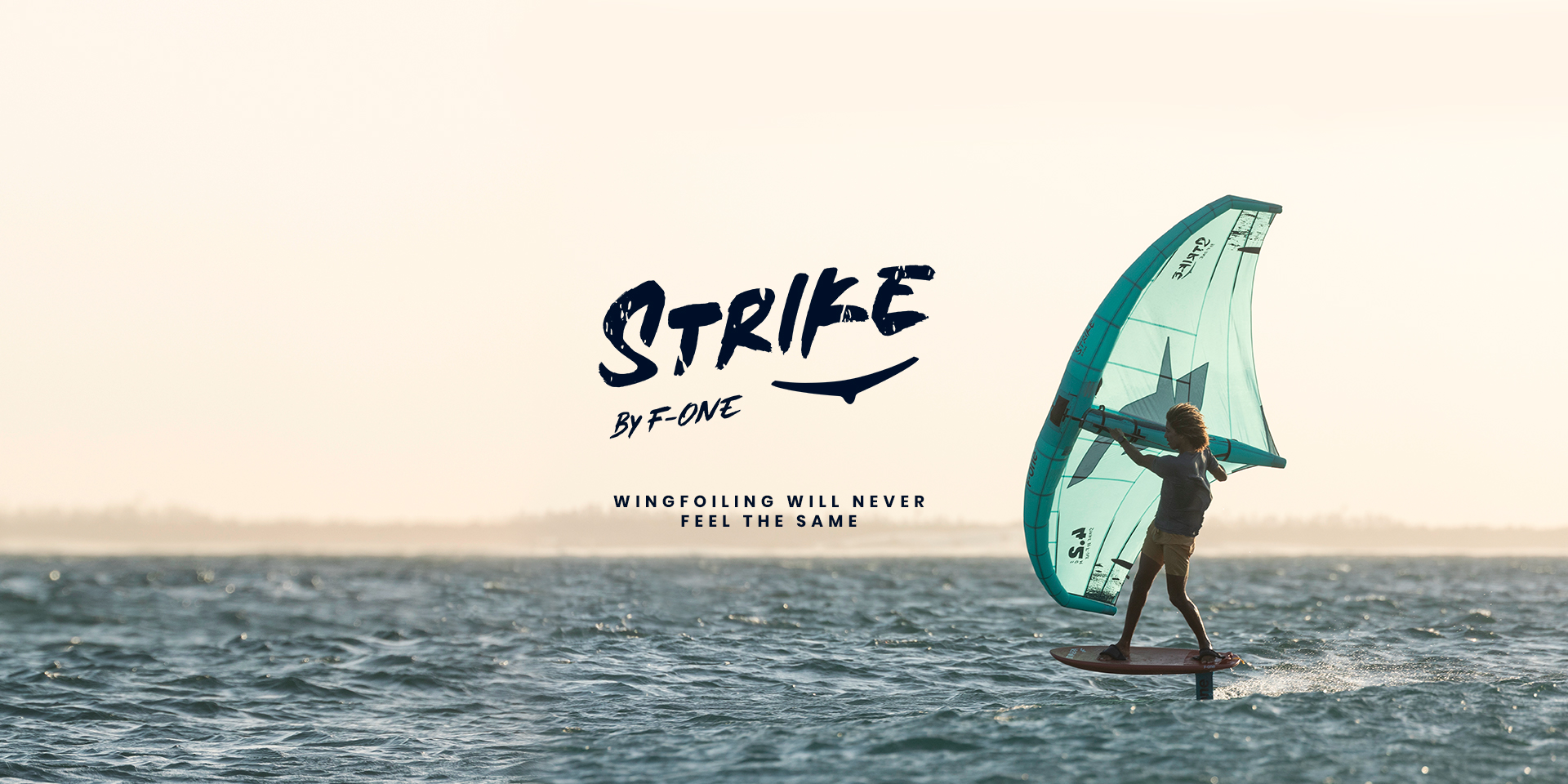 Wing Surf - F-ONE